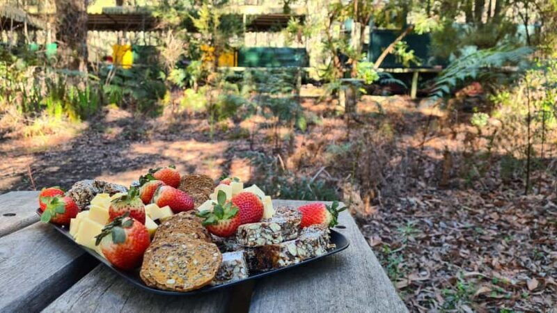 Perth: Dwellingup Train, Trails, and Woodfired Delights Tour - The Scenic Train Journey