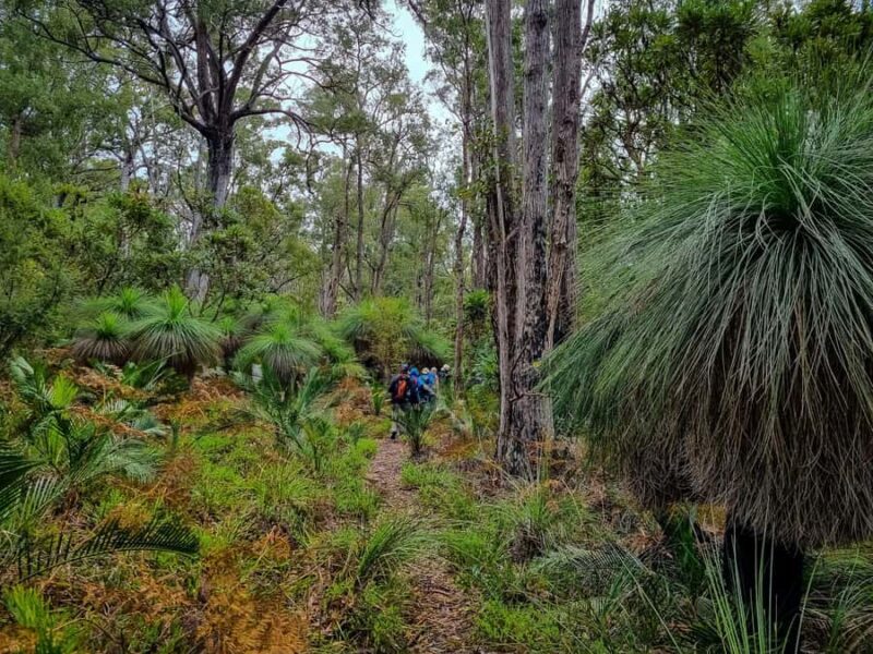 Perth: Dwellingup Train, Trails, and Woodfired Delights Tour - Railway and Forest Highlights