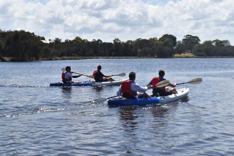 Perth: Guided Kayak Tour around Canning River Wetlands - The Itinerary in Detail
