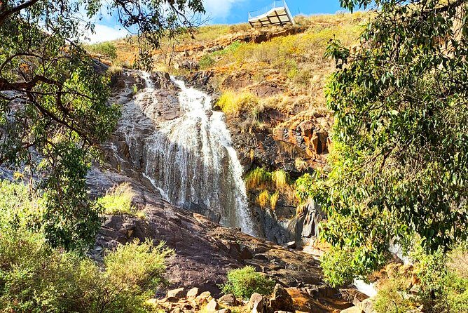 Perth Hills Explorer Private Day Tour - An Insider’s Look at the Perth Hills Explorer Tour