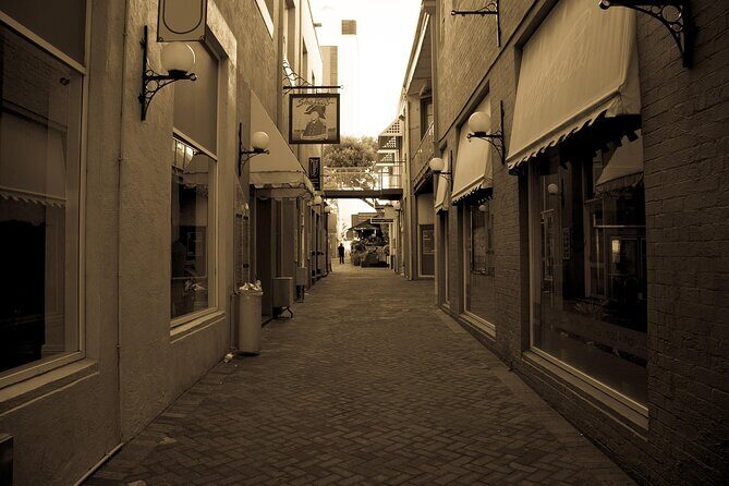 Perth Hop-On Hop-Off Bus Tour - Final Thoughts