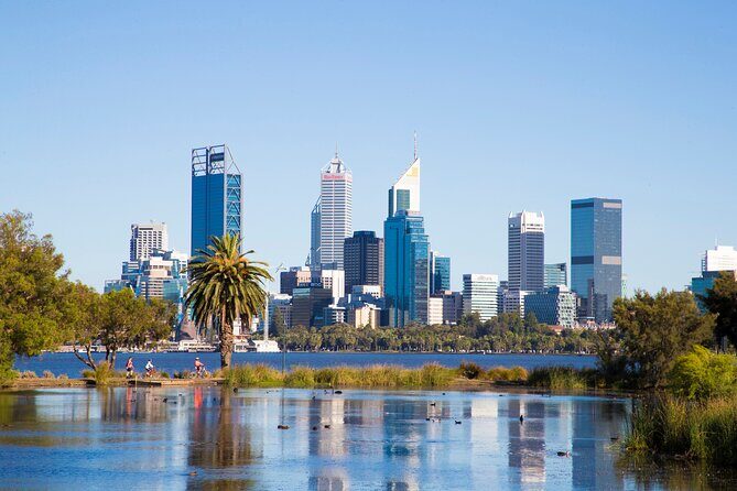 Perth, Kings Park, Swan River, Fremantle and Optional Cruise - Analyzing the Value: Is It Worth It?