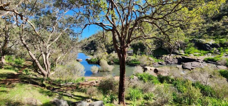 Perth: Kitty's Gorge Hike with Morning Tea - Why This Tour Stands Out