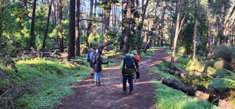 Perth: Kitty's Gorge Hike with Morning Tea - Final Thoughts: Who Will Love This Hike?