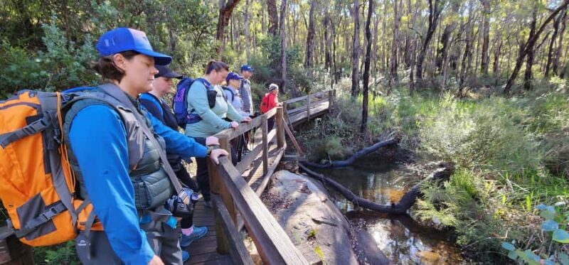 Perth: Kitty's Gorge Hike with Morning Tea - FAQ