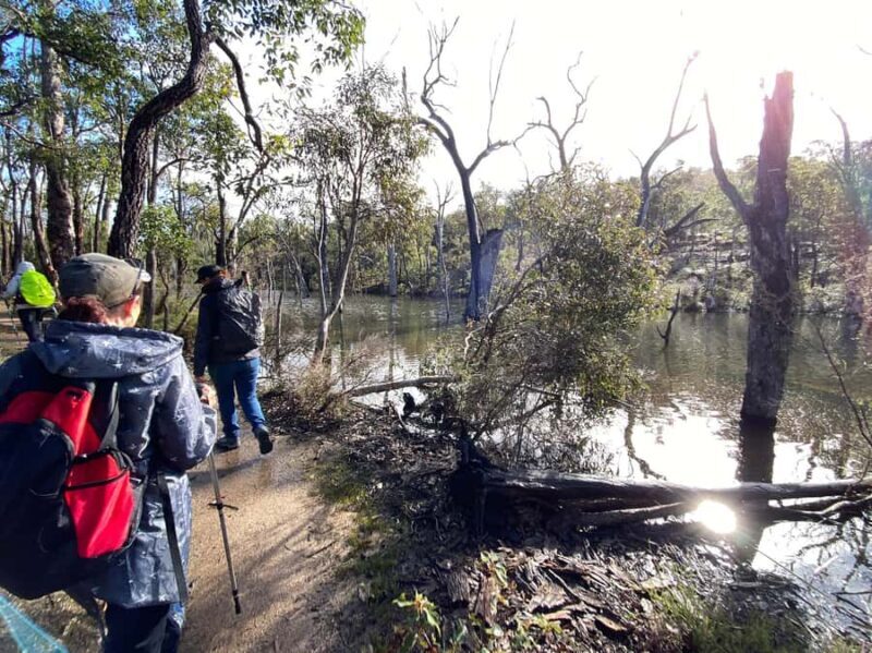 Perth: Numbat Trail Hike at Paruna Wildlife Sanctuary - Who Will Love the Numbat Trail Hike?
