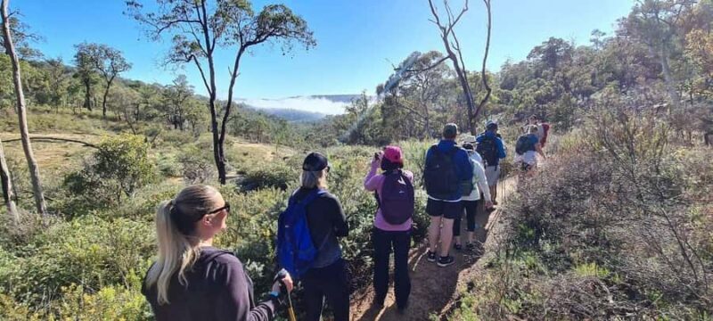 Perth: Perth Hills Hike, Wine & Dine - Key Points