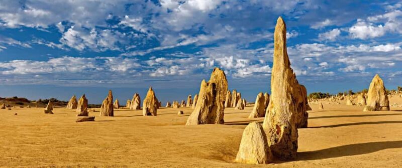 Perth: Pinnacles and Swan Valley Wine Day Tour with Lunch - What Makes This Tour Valuable?