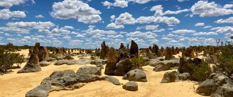 Perth: Pinnacles Desert Bush Walk Guided Tour with Lunch - A Deep Dive into the Pinnacles Desert Guided Tour