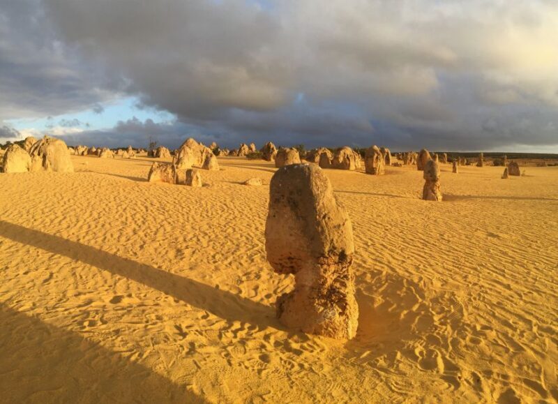 Perth: Pinnacles Desert Bush Walk Guided Tour with Lunch - Who Would Love This Tour?