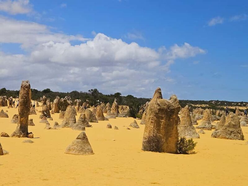 Perth: Pinnacles Desert & Sand Dunes Private Day Tour - Key Points