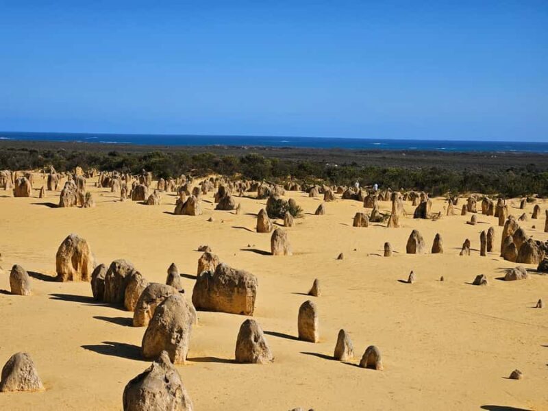 Perth: Pinnacles Desert & Sand Dunes Private Day Tour - Who Will Love This Tour?