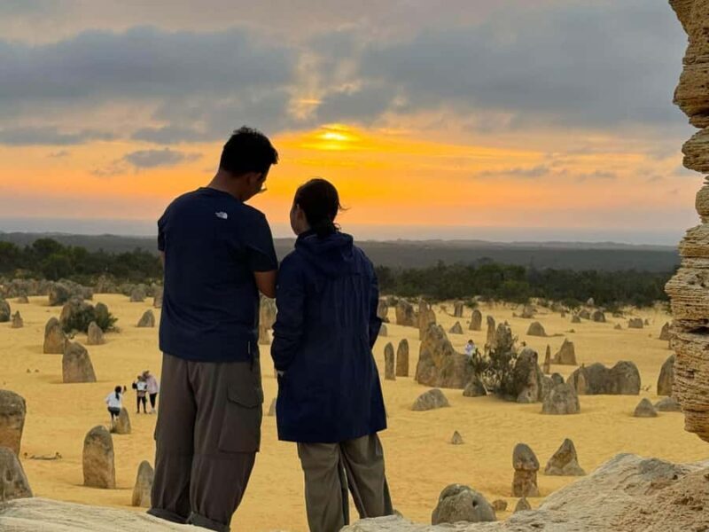 Perth: Pinnacles Stargazing, Sandboarding & Beach Kangaroos - Authentic Reviews and Insights