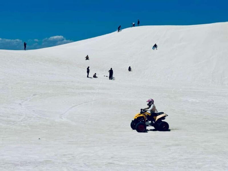 Perth: Pinnacles Stargazing, Sandboarding & Beach Kangaroos - Who Will Love This Experience?