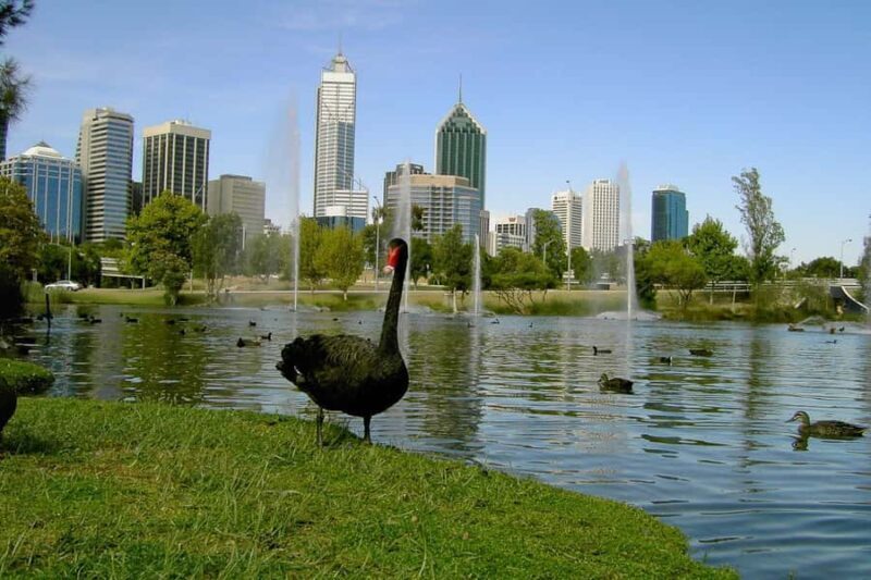 Perth Riverside Segway Tour - Key Points
