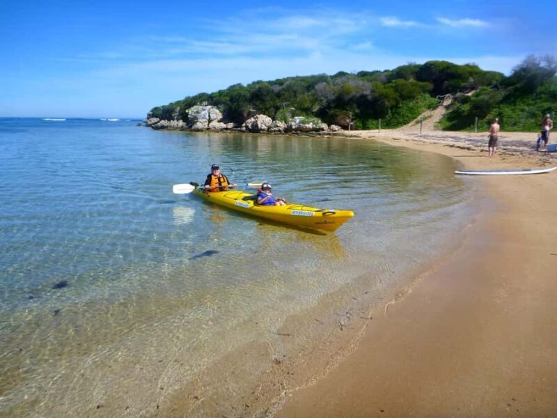 Perth: Shoalwater Islands Marine Park Sea Kayaking Tour - The Itinerary Breakdown