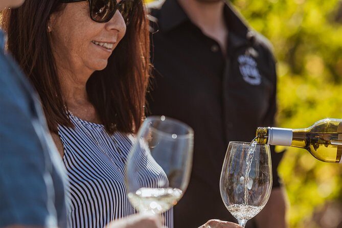 Perth: Swan Valley Half-Day Wine Tour - Small Group Experience - Who Would Love This Tour?