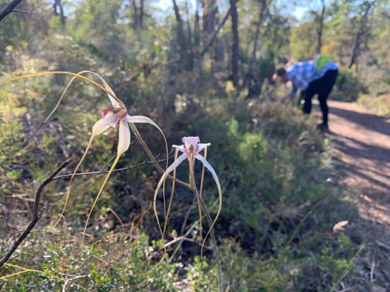 Perth: Swan View Tunnel, Falls, and Eagle View Hike - Practical Details & What To Expect