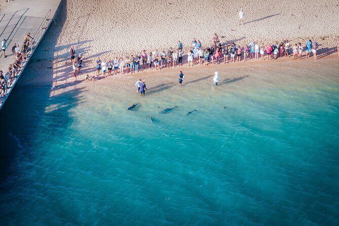 Perth to Exmouth & Ningaloo Reef 8 Day Small-Group Boutique Tour - An In-Depth Look at the Itinerary