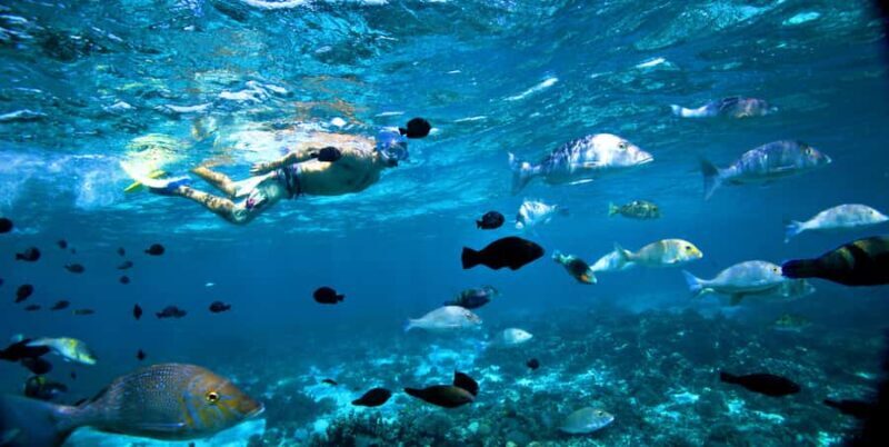 Perth to Exmouth & Return with Monkey Mia & Ningaloo Reef - Under the Surface: A Deep Dive into the 7-Day Itinerary