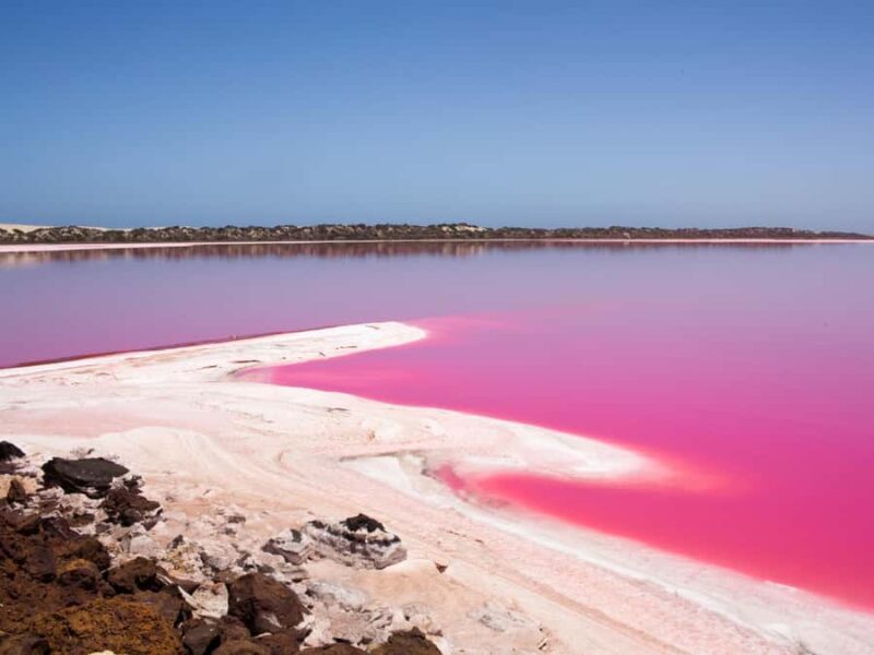 Perth to Exmouth with Monkey Mia & Ningaloo Reef - A Closer Look at the Itinerary