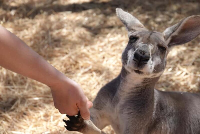 Perth to Exmouth with Monkey Mia & Ningaloo Reef - Final Thoughts