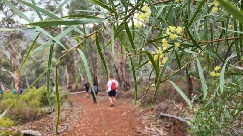 Perth: Waterfalls, Wildflowers & Wandoo Hiking Experience - An In-Depth Look at the Perth Waterfalls, Wildflowers & Wandoo Hiking Experience