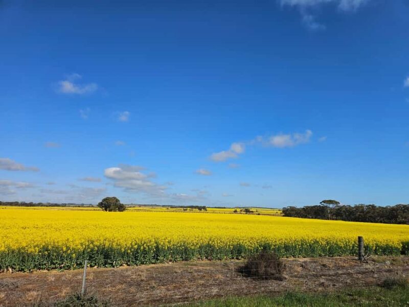 Perth: Wave Rock, Mulka's Cave, and York (Full Day Tour) - Mulka’s Cave: Ancient Art and Cultural Legends