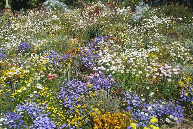 Perth Wildlife Park & City Highlights - Premium Small Group Tour - FAQs