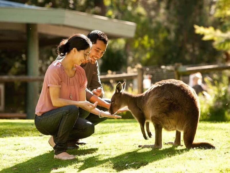 Perth Wildlife Park & City Highlights - Small Group Tours - Key Points