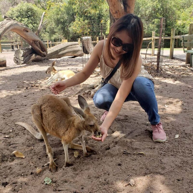 Perth Wildlife Park & City Highlights - Small Group Tours - The Allure of a Small Group Experience