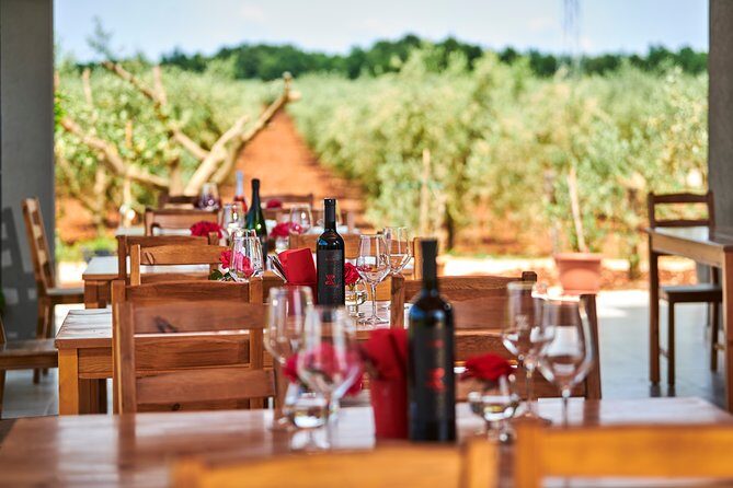 PERVINO - Wine tasting - A Taste of Istria at Pervino: An Authentic Wine Tasting Experience