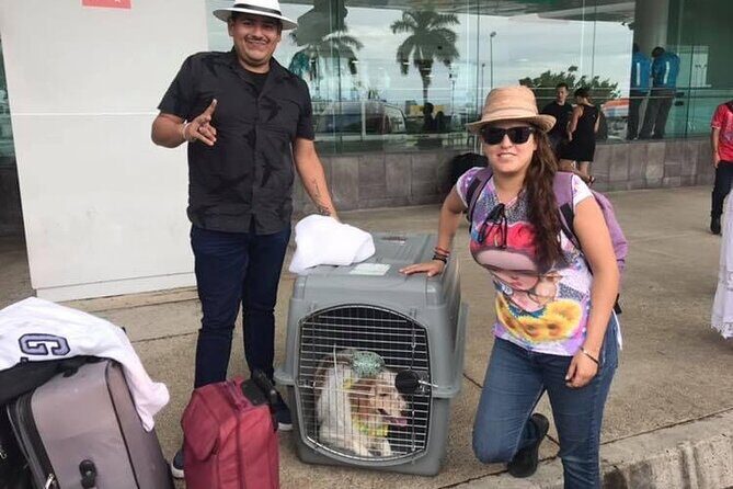 PET FRIENDLY Private Transfer Cancun - Playa del Carmen - Key Points