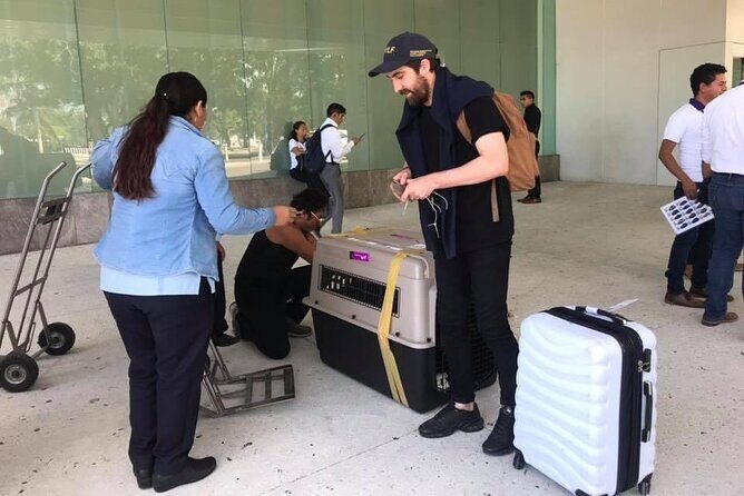 PET FRIENDLY Private Transfer Cancun - Playa del Carmen - The Vehicle and Comfort Level