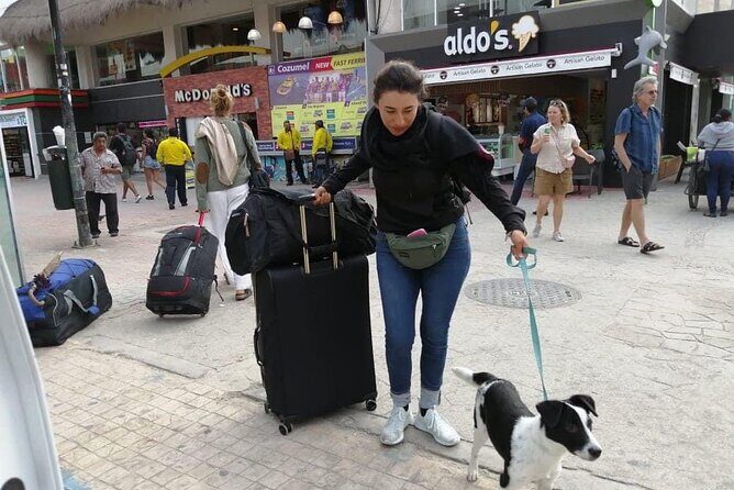 PET FRIENDLY Private Transfer Cancun - Playa del Carmen - Who is this transfer best suited for?