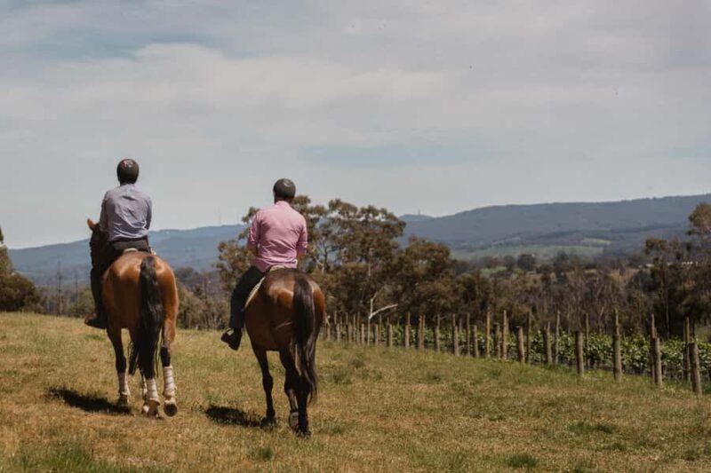 Petaluma: Horseback Riding and Wine Tasting Tour - FAQ