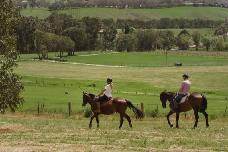 Petaluma: Romantic Private Horse Ride & Wine Tasting Package - An Authentic Taste of South Australia’s Wine Country and Horseback Riding