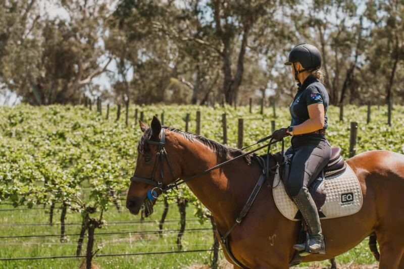 PETALUMA: VIP Equestrian & Private Wine Lunch with Olympian - What Makes This Tour Stand Out?