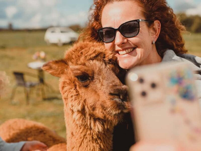 Peterborough: Alpaca Meet and Greet Experience - Introduction to the Experience