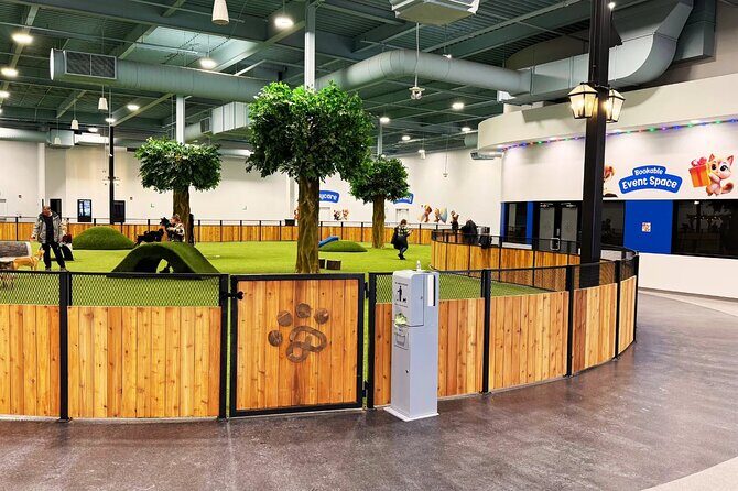 Petfinity Indoor Dog Park in Calgary - What You Can Expect at Petfinity Indoor Dog Park