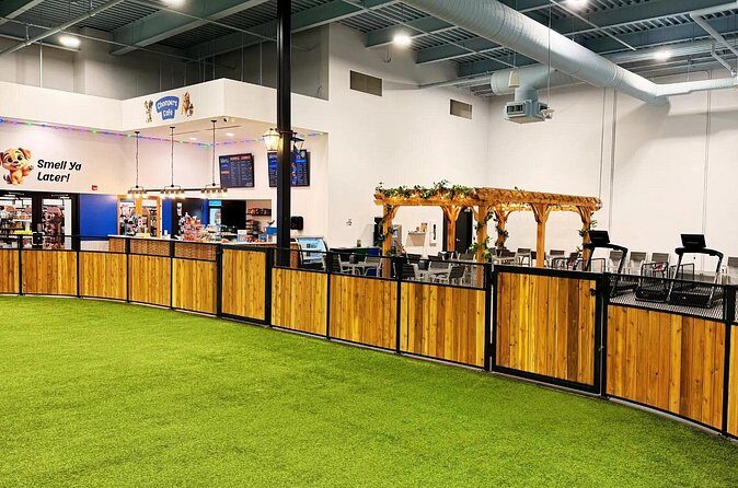 Petfinity Indoor Dog Park in Calgary - Practical Tips for Your Visit
