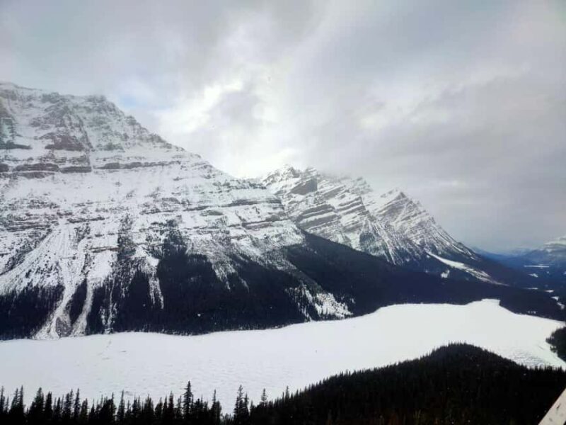Peyto Lake Lake Louise Johnston Canyon Calgary/Canmore/Banff - Authentic Insights from Reviews