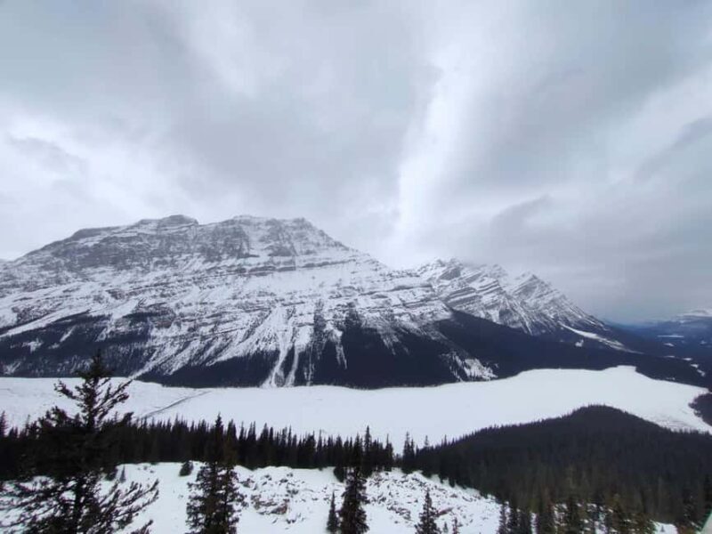 Peyto Lake Lake Louise Johnston Canyon Calgary/Canmore/Banff - Who Would Love This Tour?