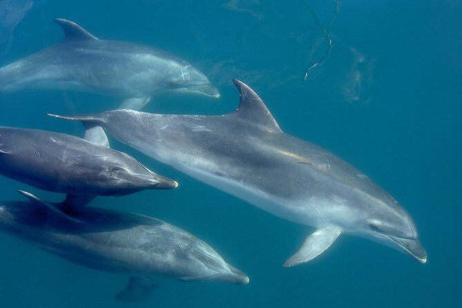 Phantom Sailing Bay of Islands - A Closer Look at the Itinerary