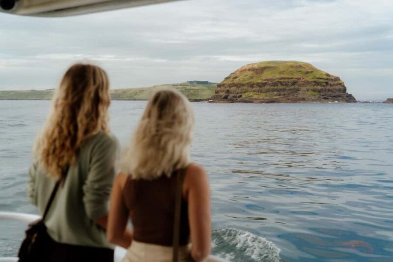 Philip Island: Seal Watching Cruise - What Makes the Philip Island Seal Watching Cruise Special?