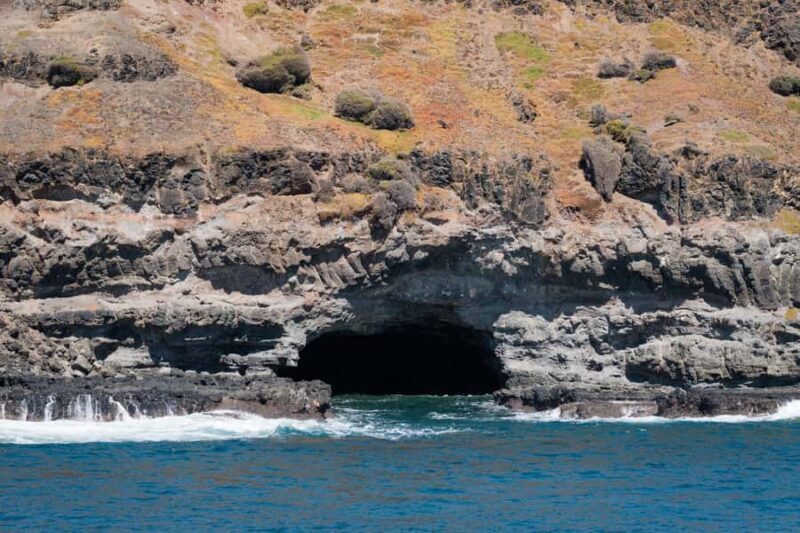 Philip Island: Seal Watching Cruise - Comfort, Amenities, and Overall Experience