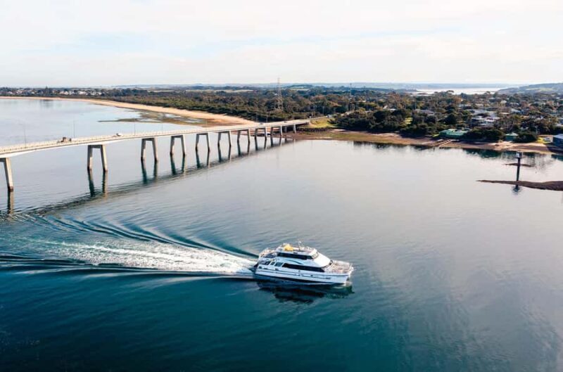 Phillip Island: 1-Hour Cape Woolamai Scenic Cruise - Final Thoughts