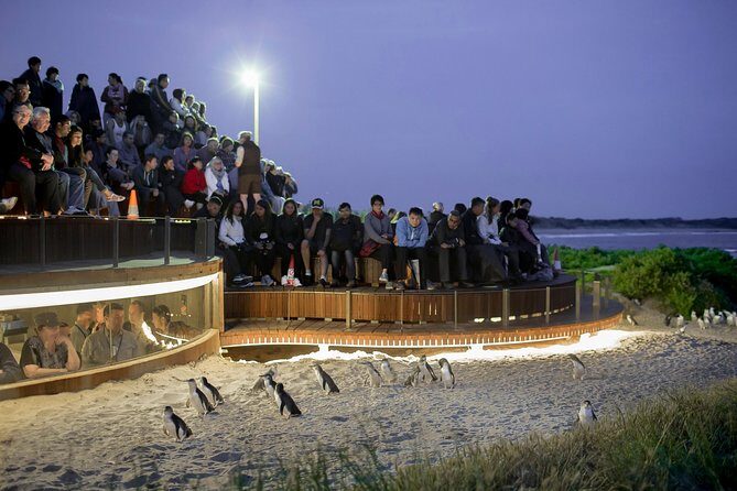 Phillip Island Day Trip from Melbourne with Penguin Plus Viewing Platform - Practical Tips for Travelers