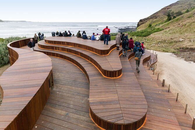 Phillip Island Day Trip from Melbourne with Penguin Plus Viewing Platform - Who Would Love This Tour?