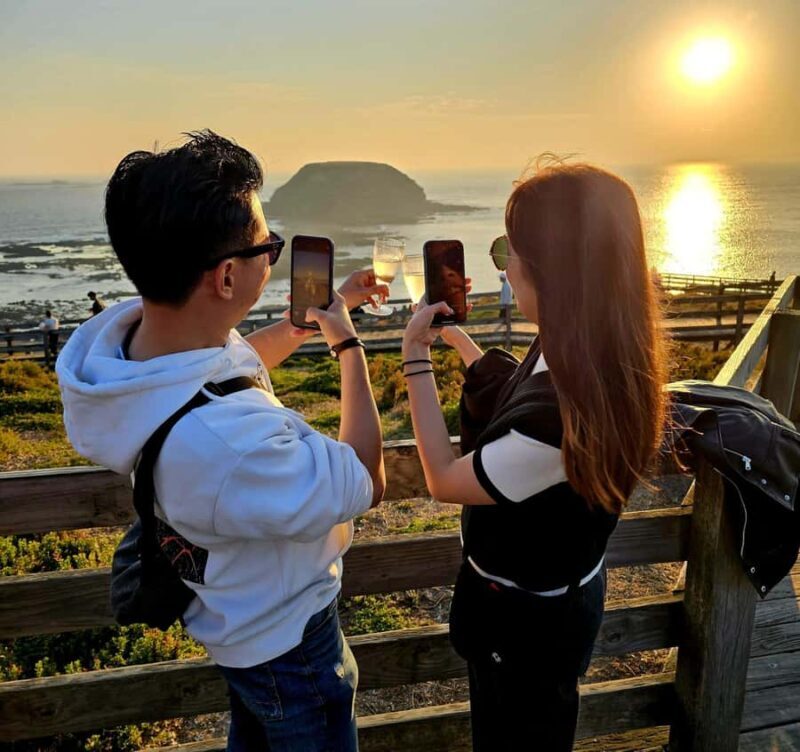 Phillip Island: Golden Hour Penguin Express Tour - Experience Breakdown: What to Expect on the Tour